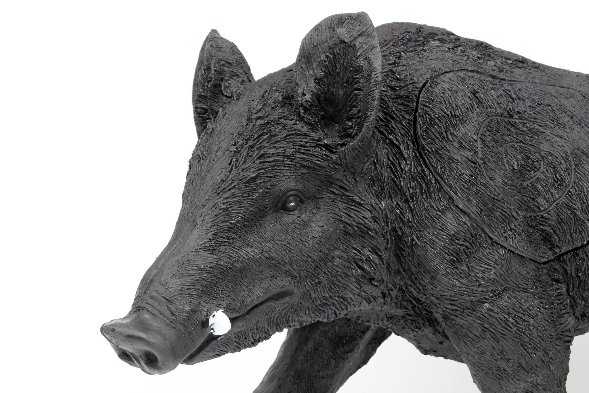 Javelina 3D Animal Target