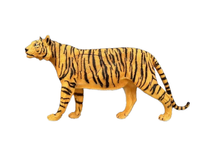 Tigers Animal Target