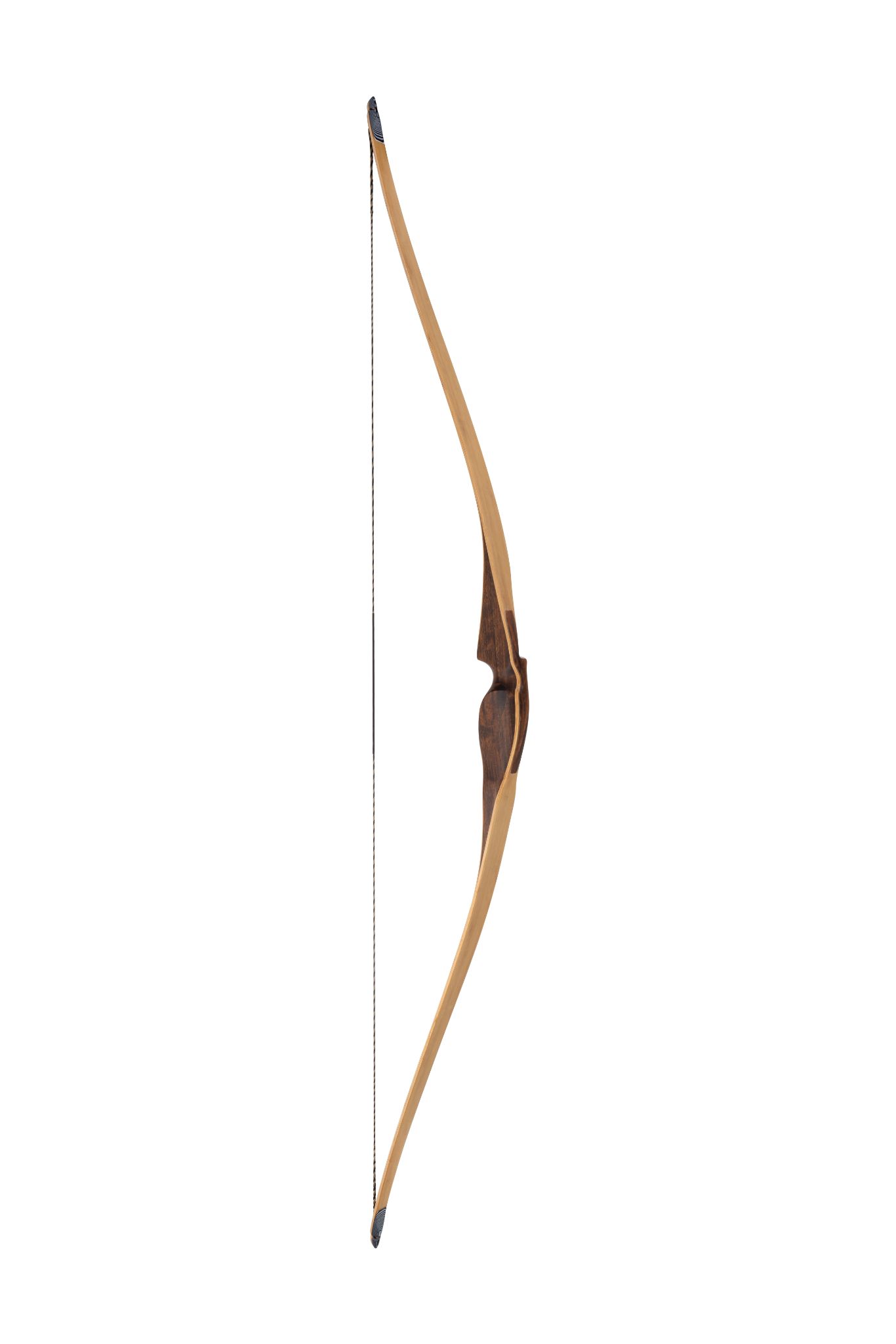 Hybrid Bows